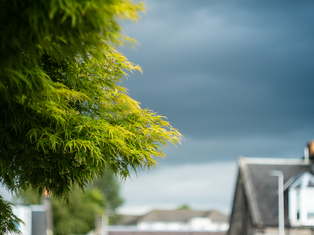 June Reflections | Identity and Place