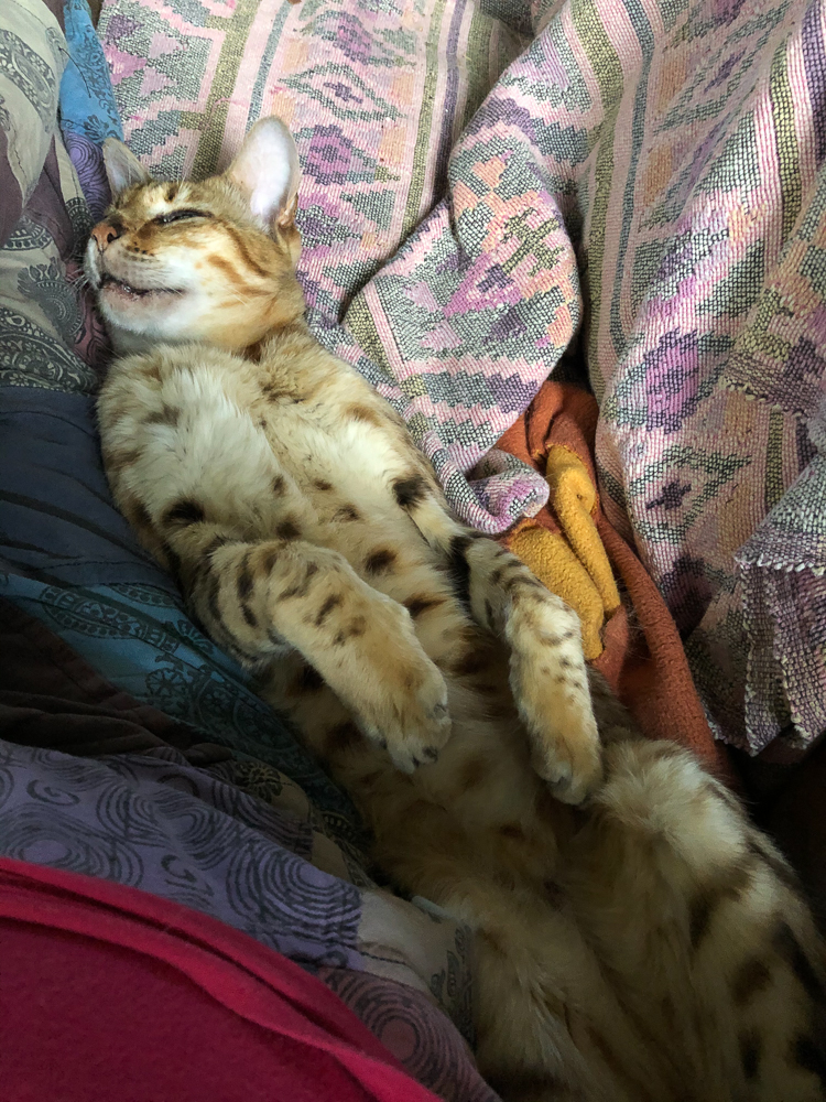 June Reflections | Identity and Place